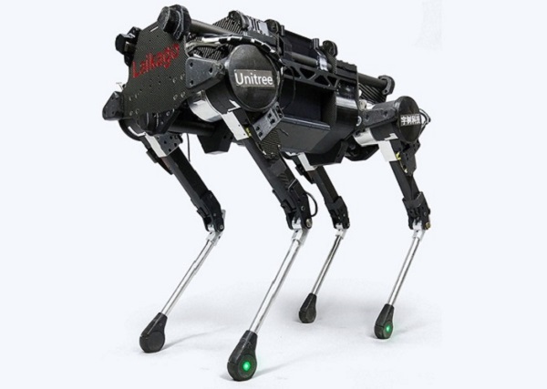 Cachorros verdadeiros ensinam cão-robô a andar | Petlove