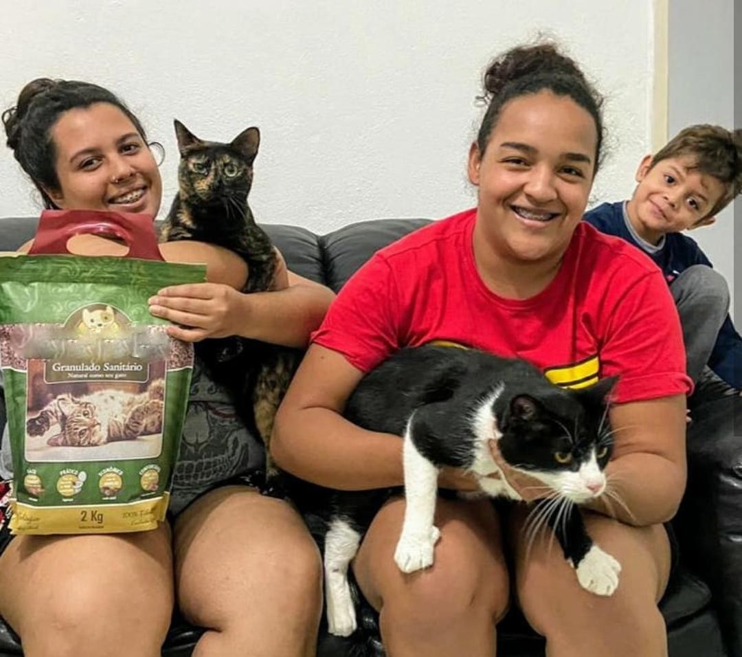 Catland: histórias de adoção durante a quarentena | Petlove