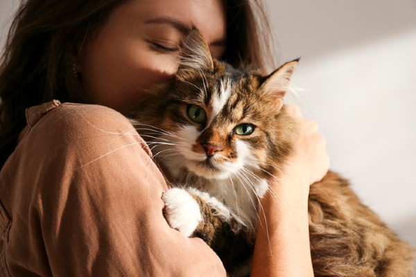 Gatos sempre ronronam de felicidade? | Petlove