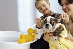 Cuidados com a higiene de pets filhotes | Petlove