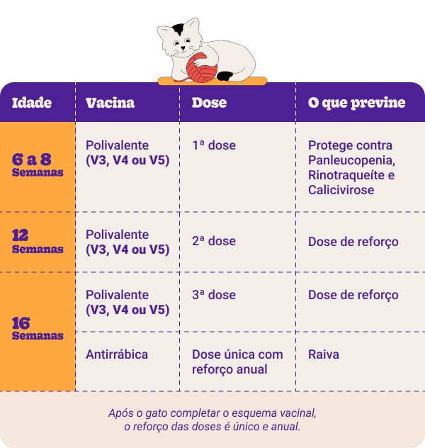 Carteira de vacinação pet: o que é e como funciona