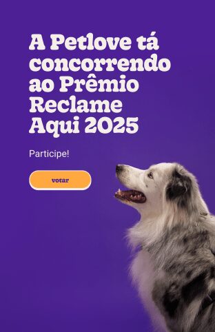 Munchkin: conheça a raça de "gato rebaixado" | Petlove