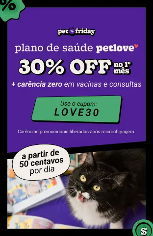 Munchkin: conheça a raça de "gato rebaixado" | Petlove